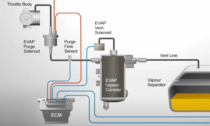 Benefits of EVAP Delete: Pros and Cons - Daily Car Tips